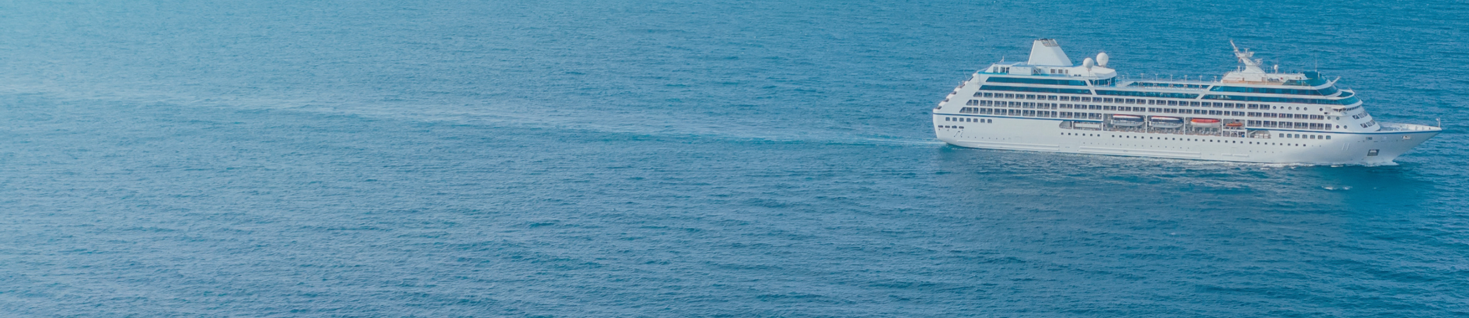 TalkingCruise Partnership | Go Port